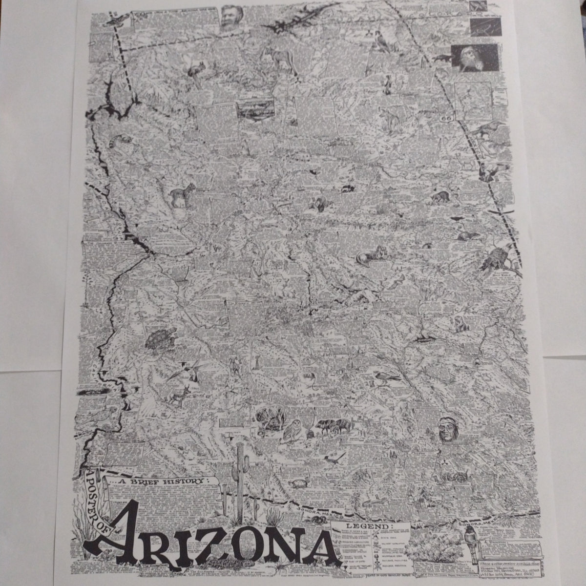 State of Arizona Poster – Bob Waldmire Art